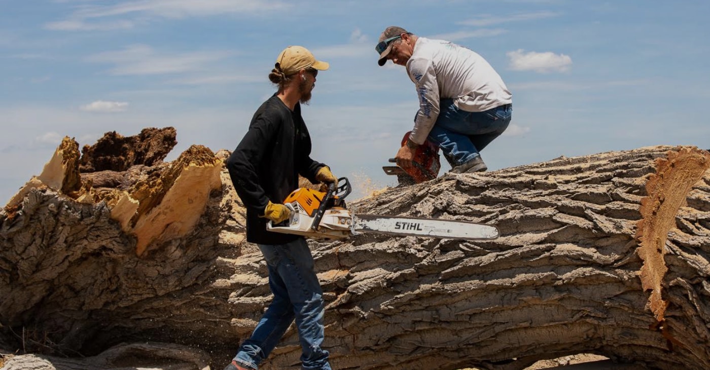 Langley's Tree Specialist is a Tree Service Company in Greeley, CO 80634